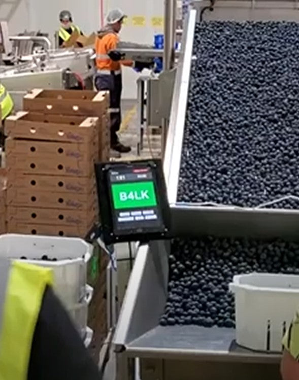 Grading Station (touchless) – shop.dataphyll.com